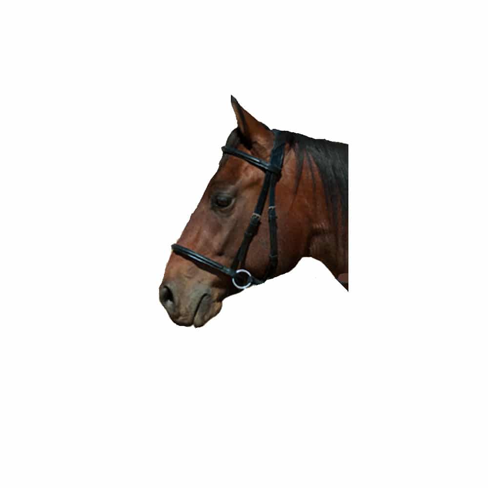 Nurtural Horse Harmonie Leather English Bitless Bridle BLK Black Arab/Cob